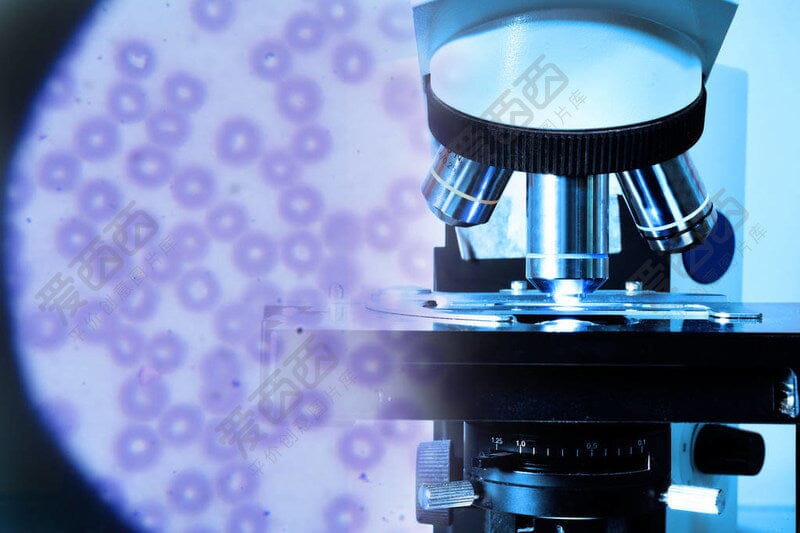 Guide ultime 2022 pour l'achat du meilleur microscope – APEXEL Officiel