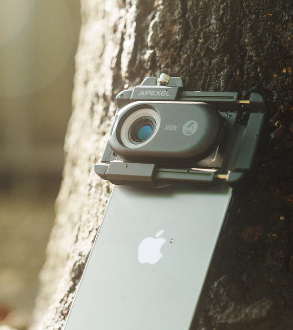 PhoneMicro 5 Smartphone Microscope - Apexel – APEXEL Official Store