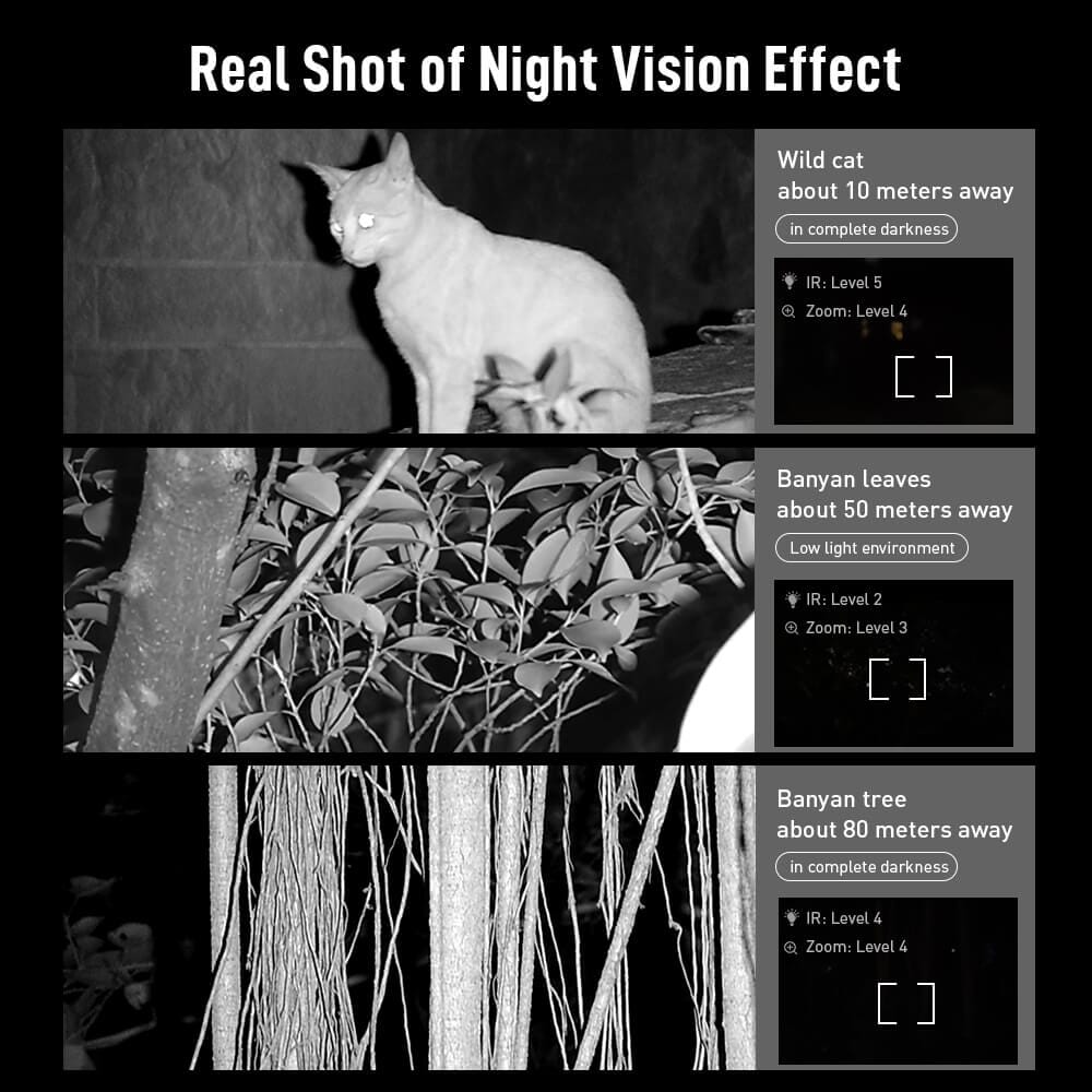 Cat Night Vision Goggles
